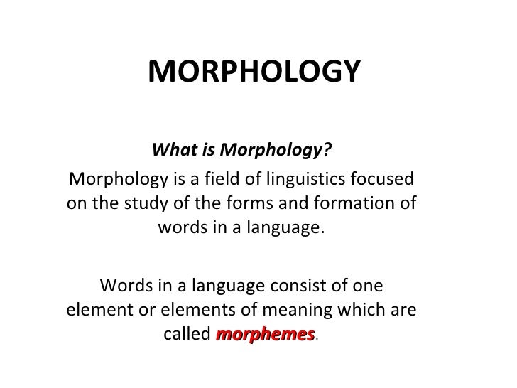 Morphology Son Morphology Son
