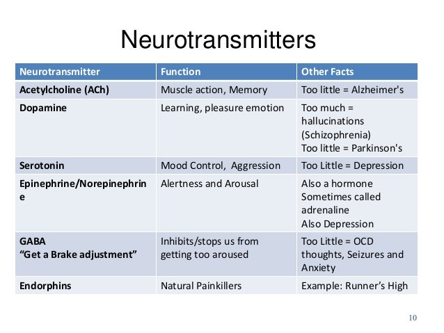 Biological Bases of Behavior: Neurons