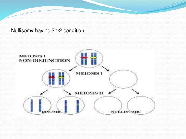 Numerical chromosomal aberrations