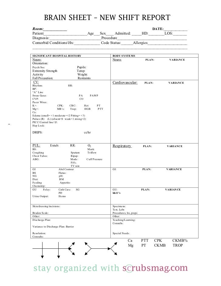 Nurse Brain Sheet new shift report
