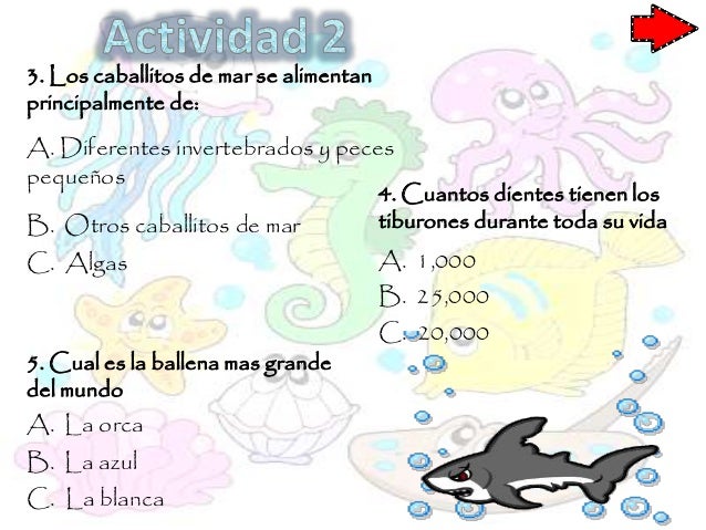 Sopas de letras de animales acuaticos - Imagui