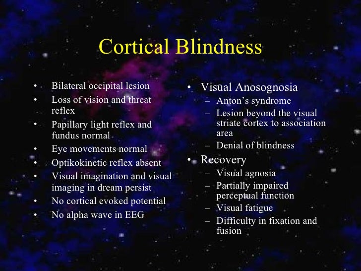 Occipital lobe Occipital lobe