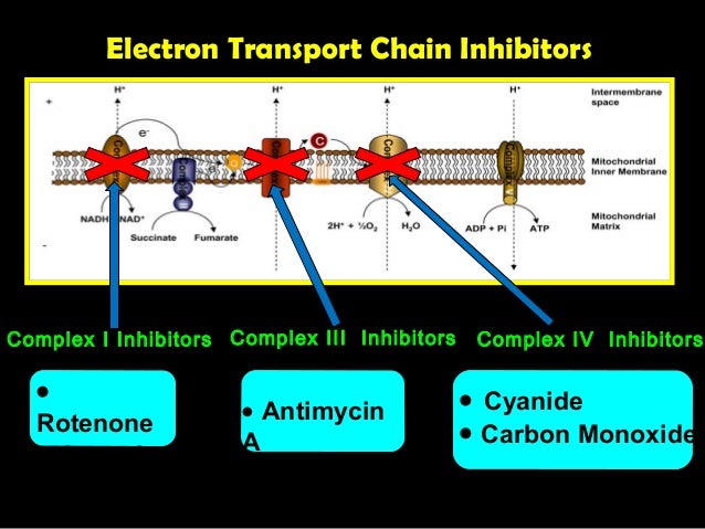 Biological oxidation