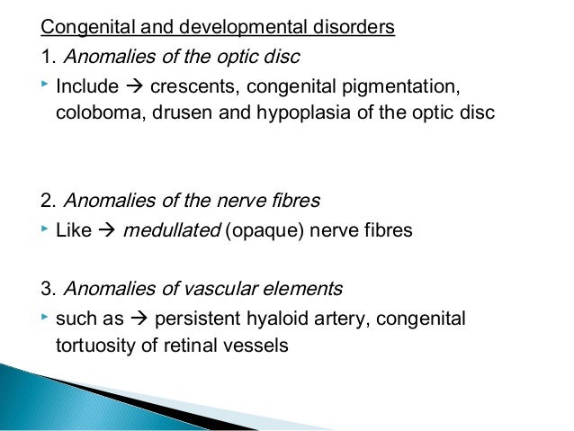 Optic Nerve