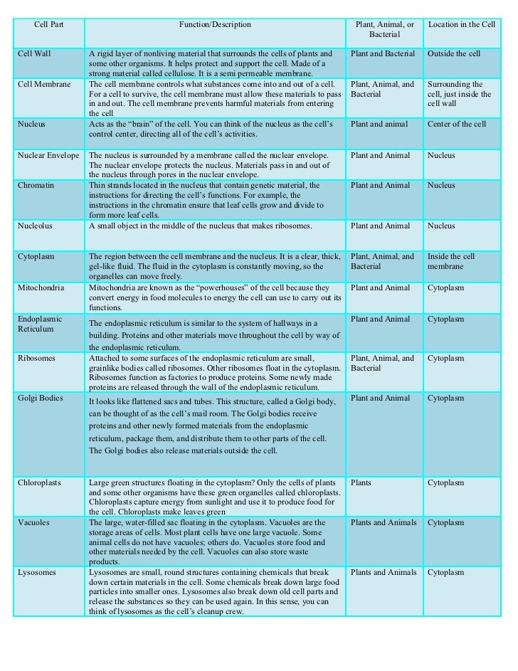 Organelle Chart Key Organelle Chart Key