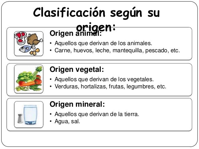 Clasificacion de alimentos segun su origen - Imagui