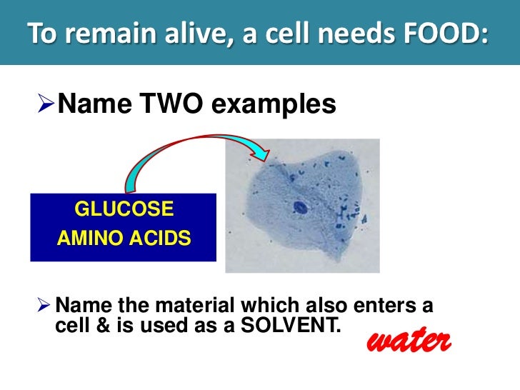 Osmosis Diffusion Active Transport osmosis-diffusion-active-transport