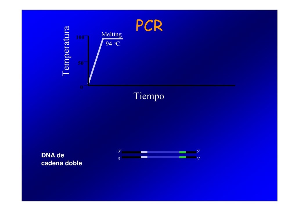 Pcr Y Electroforesis Biociencias 2010 Pdf