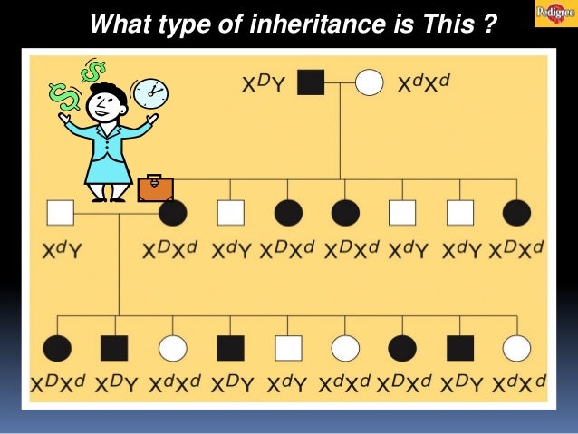 Multifactorial Inheritance Pedigree