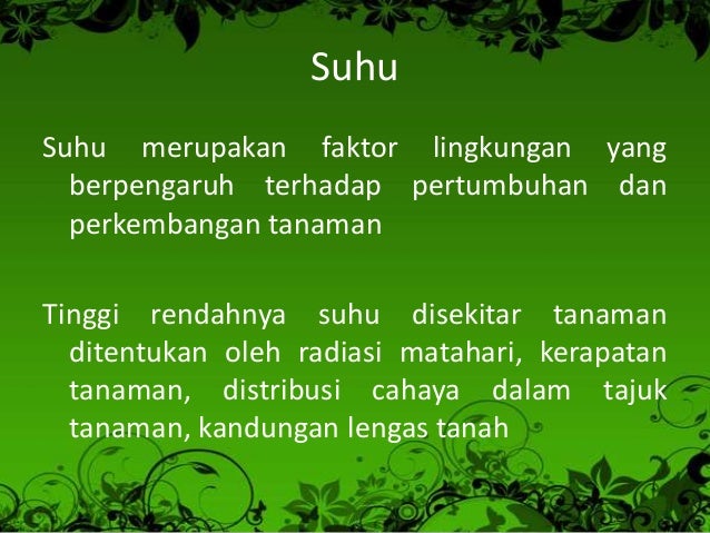 Pengaruh suhu dan matahari terhadap tumbuhan Pengaruh suhu dan matahari terhadap tumbuhan