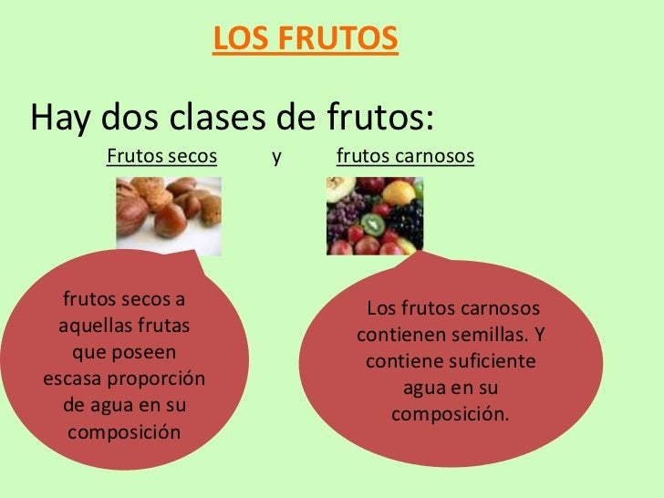 Frutos Carnosos Y Secos
