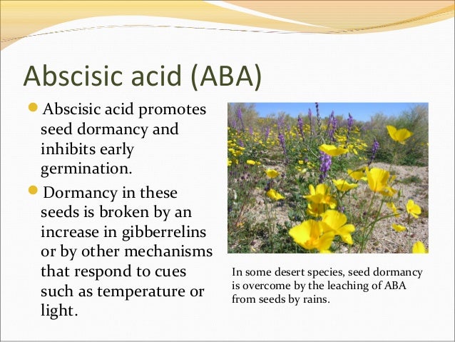 Plant hormones and plant reproduction