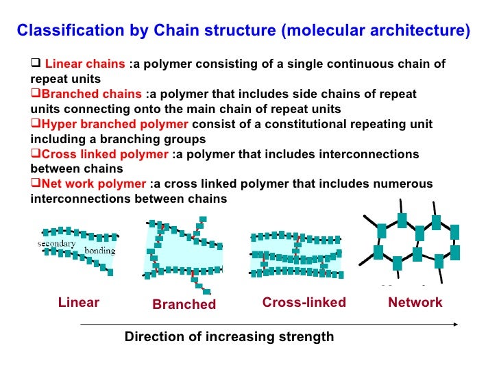 Branched Polymer Structure