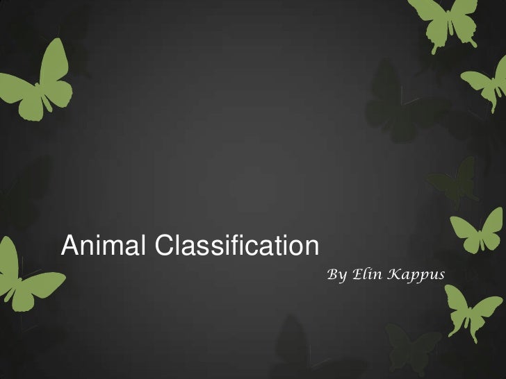 Animal Kingdom Classification Ppt Kingdom Animalia |authorSTREAM