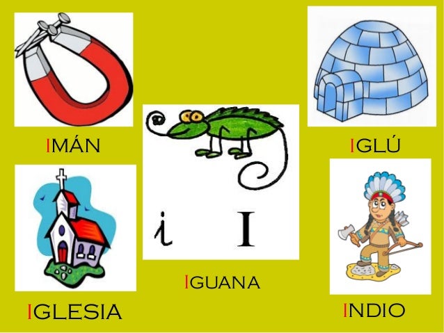 VOCAL I IGUANA - Imagui