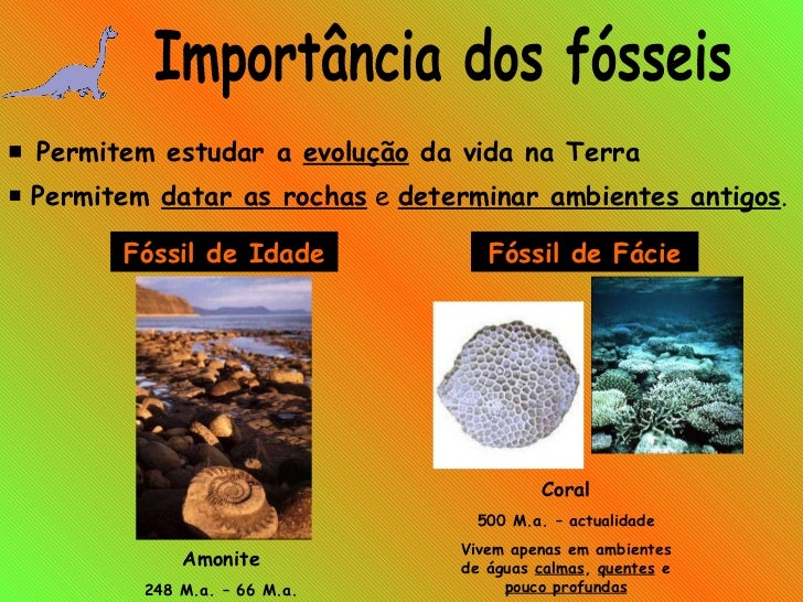 Ppt Sobre Os Fósseis