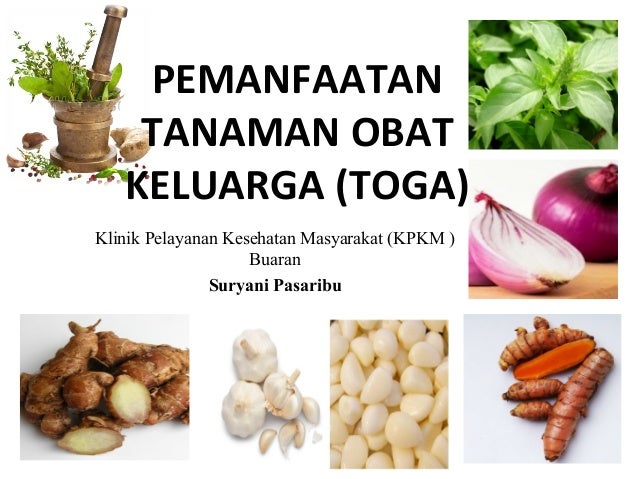 Khasiat Dan Manfaat Tanaman Untuk Obat Khasiat Dan Ma - vrogue.co Khasiat Dan Manfaat Tanaman Untuk Obat Khasiat Dan Ma - vrogue.co