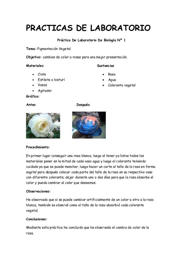 Practicas de laboratorio