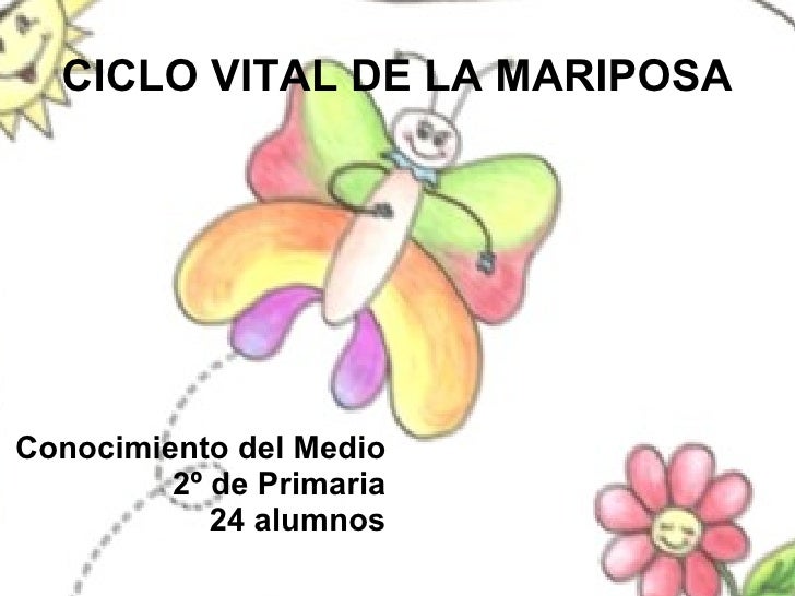Ciclo de vida de la mariposa en inglés - Imagui