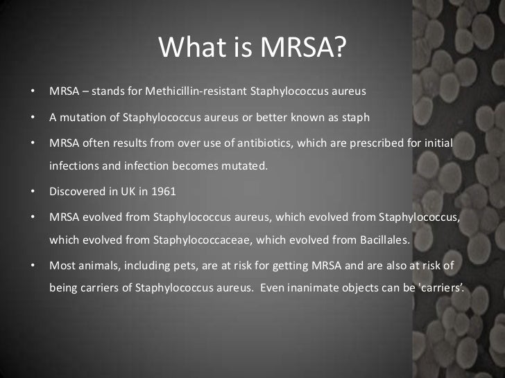 MRSA - Mobius Human Disease Project