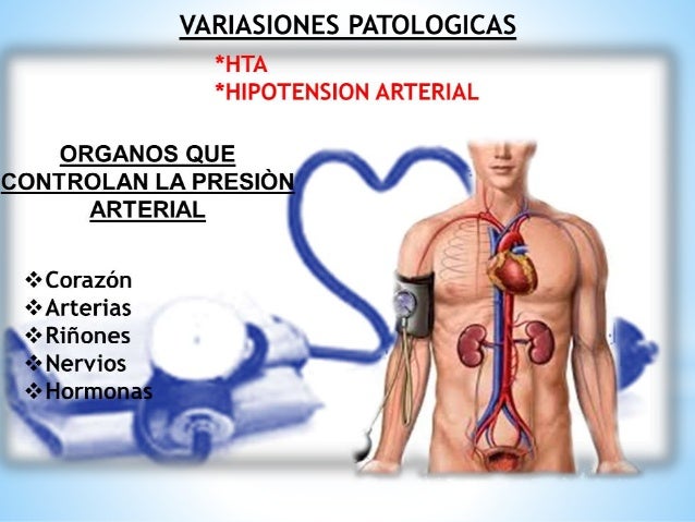 Ciencias De La Salud Hipotencion Arterial