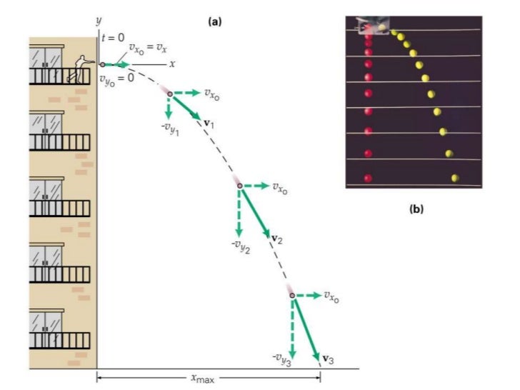 Projectile motion horizontal