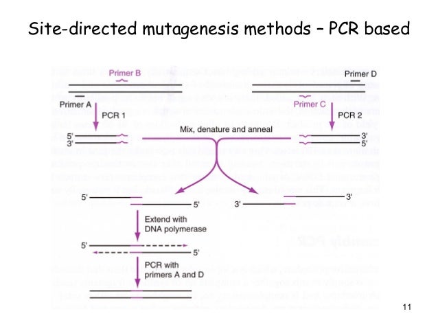 Eli5: how does DNA code editing work? : r/explainlikeimfive