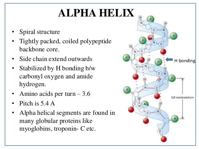 Protein structure: details