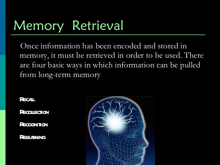 Human Memory - Psychology