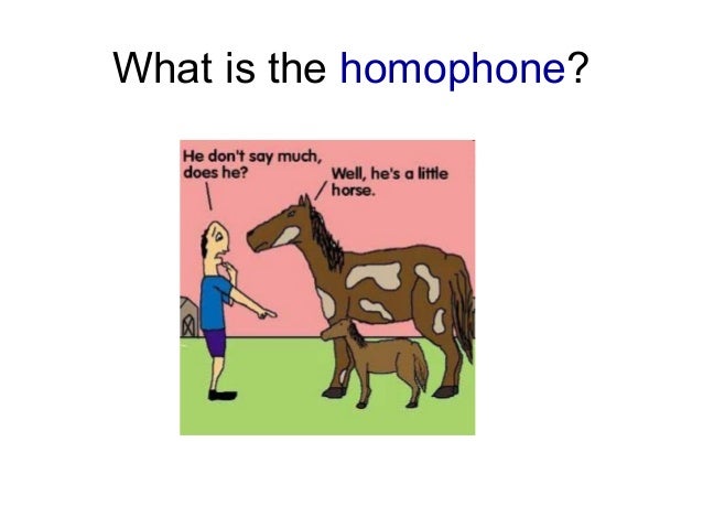 Homonyms Jokes