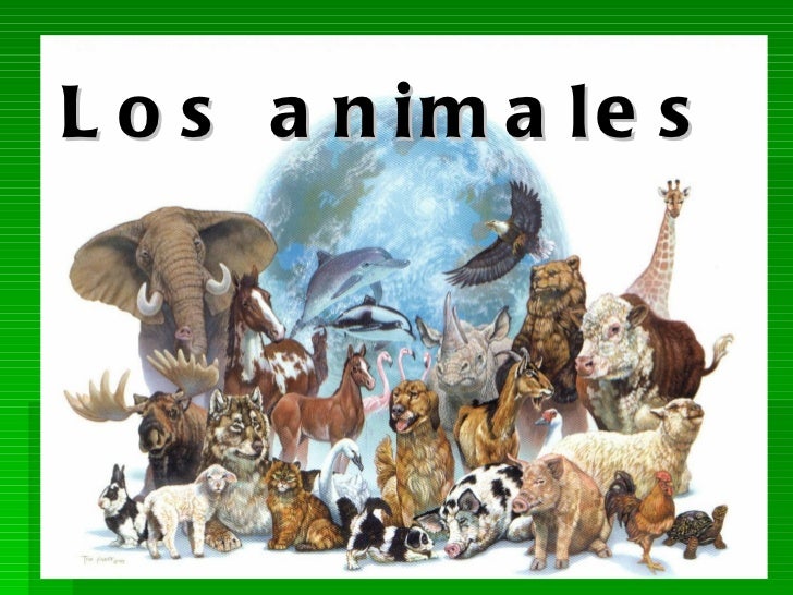 Qu Comen Los Animales Hc9788426144089 What Do