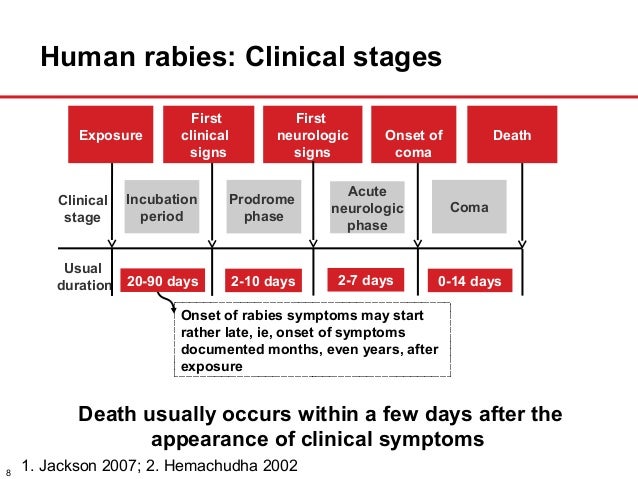 Rabies Prevention