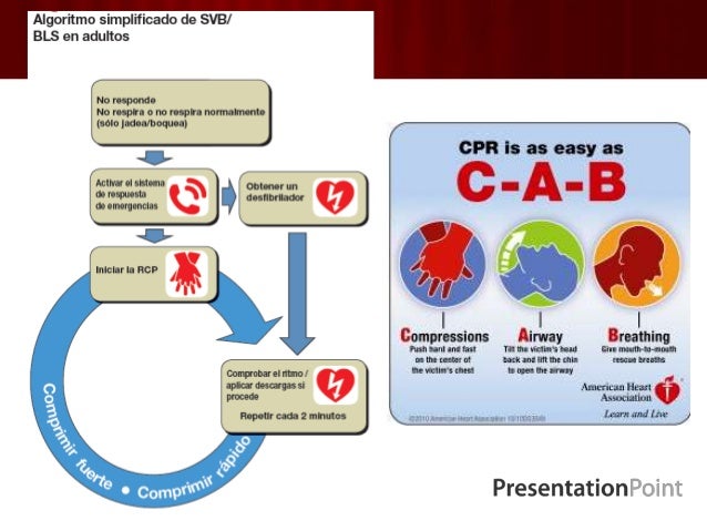 Reanimación cardiopulmonar básica (rcp) del adulto