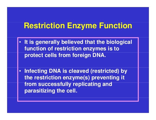 Restriction Enzyme