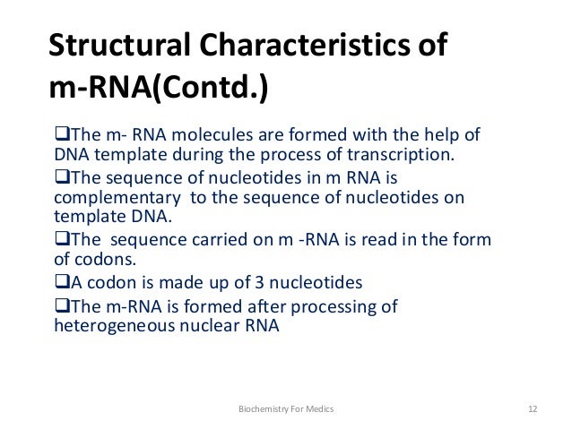 Rna Properties Structure Types And Functions RNA Structure, Types And Rna Properties Structure Types And Functions RNA Structure, Types And