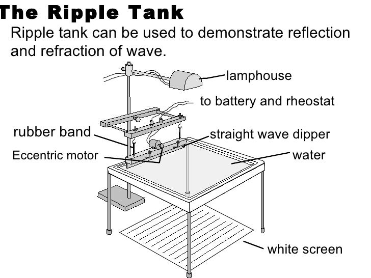 S4 E Phy Waves(Tranverse)(T)