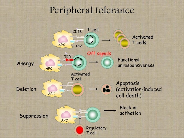 Cell Tolerance