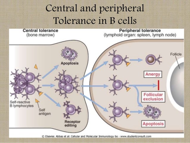Cell Tolerance