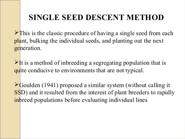 Single Seed Descent Method