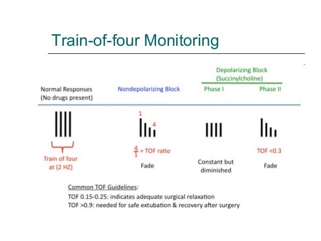 Skeletal muscle relaxants (2011) - drdhriti