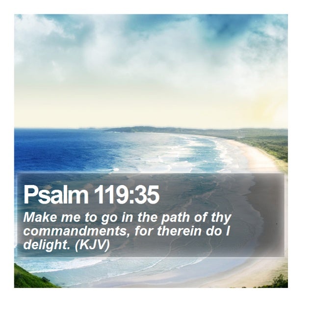 Psalm 119 35 Daily Bible Verse psalm-119-35-daily-bible-verse
