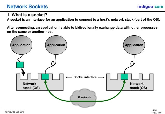 Network Sockets