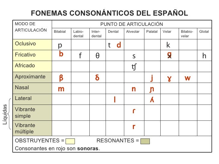 Sonidos Lengua