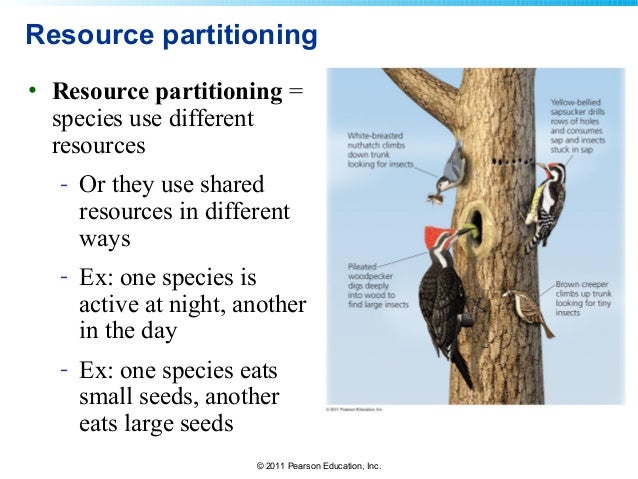 Species communities__and_biomes