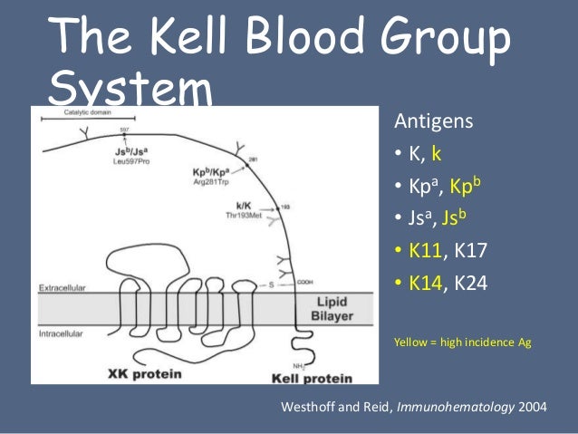 Heme conf 10 08-2015 - dr cho