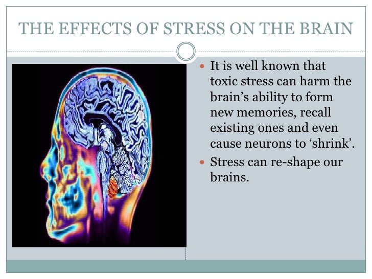 Stress and the brain