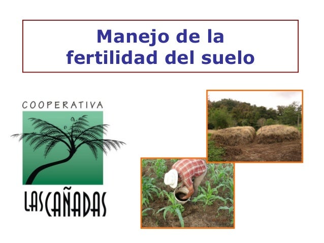 Manejo De La Fertilidad Del Suelo Materia Organica Y Microorganismos Images