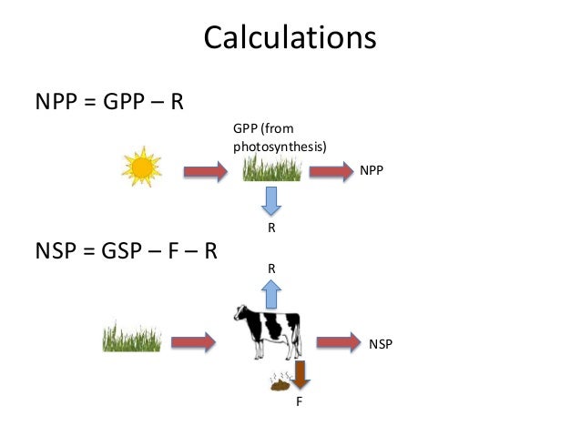 Summary of topic 2.5