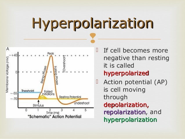 Survey of Anatomy and Physiology Chap 9 Part Two