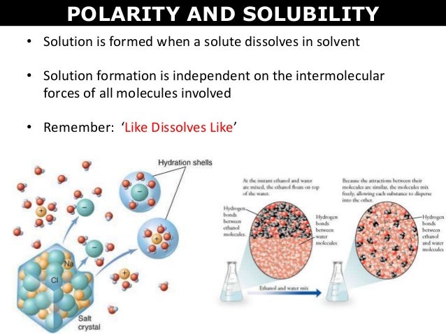 Tang 09 intermolecular forces and solubility
